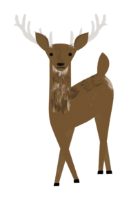 Takelma Language Curriculum – Cow Creek Education