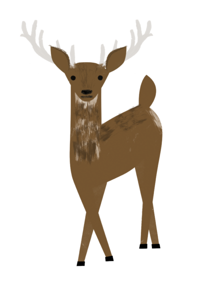 Takelma Language Curriculum – Cow Creek Education